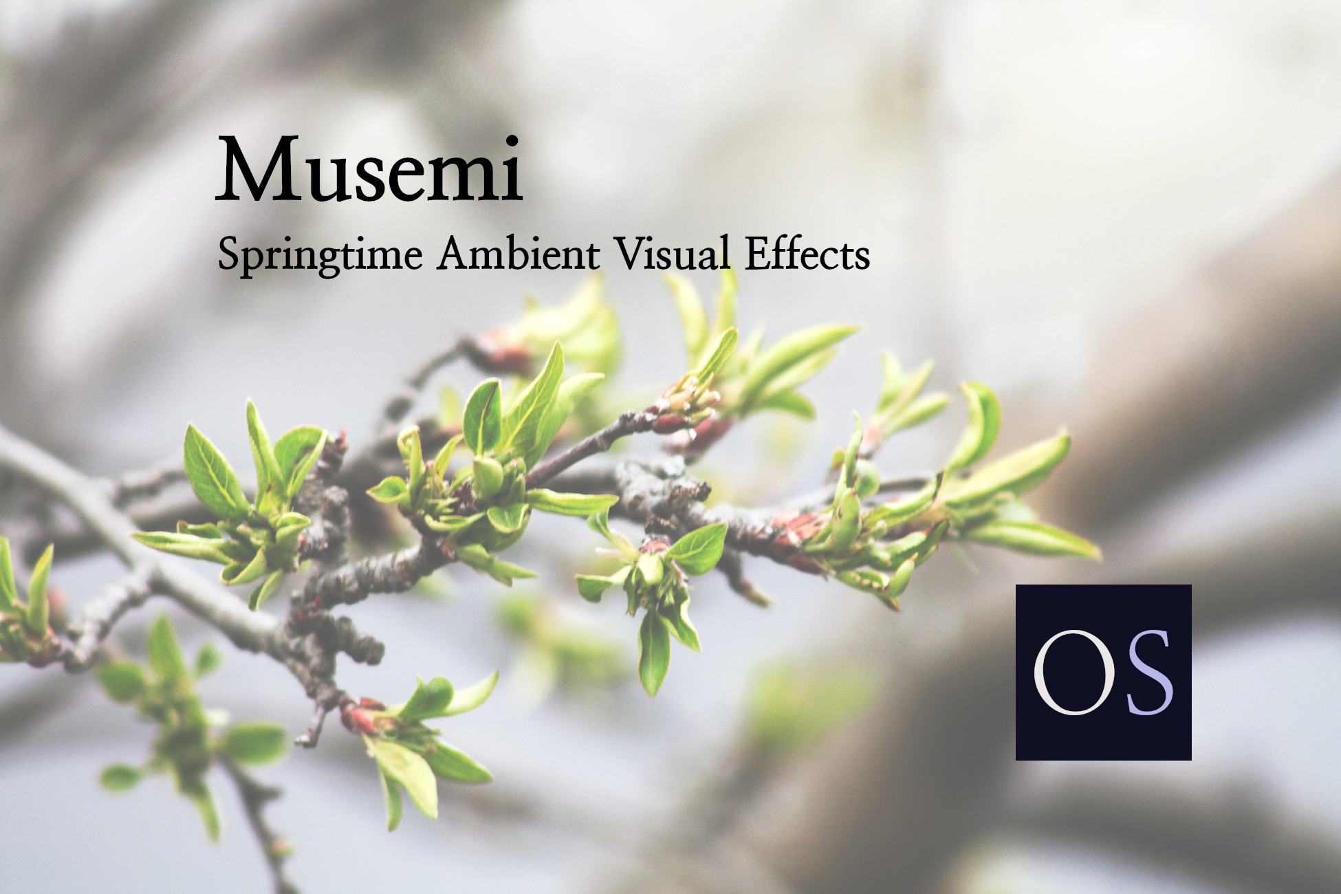 Musemi | Stylized Grass, Wind, and Ambient VFX | Environment | Unity ...
