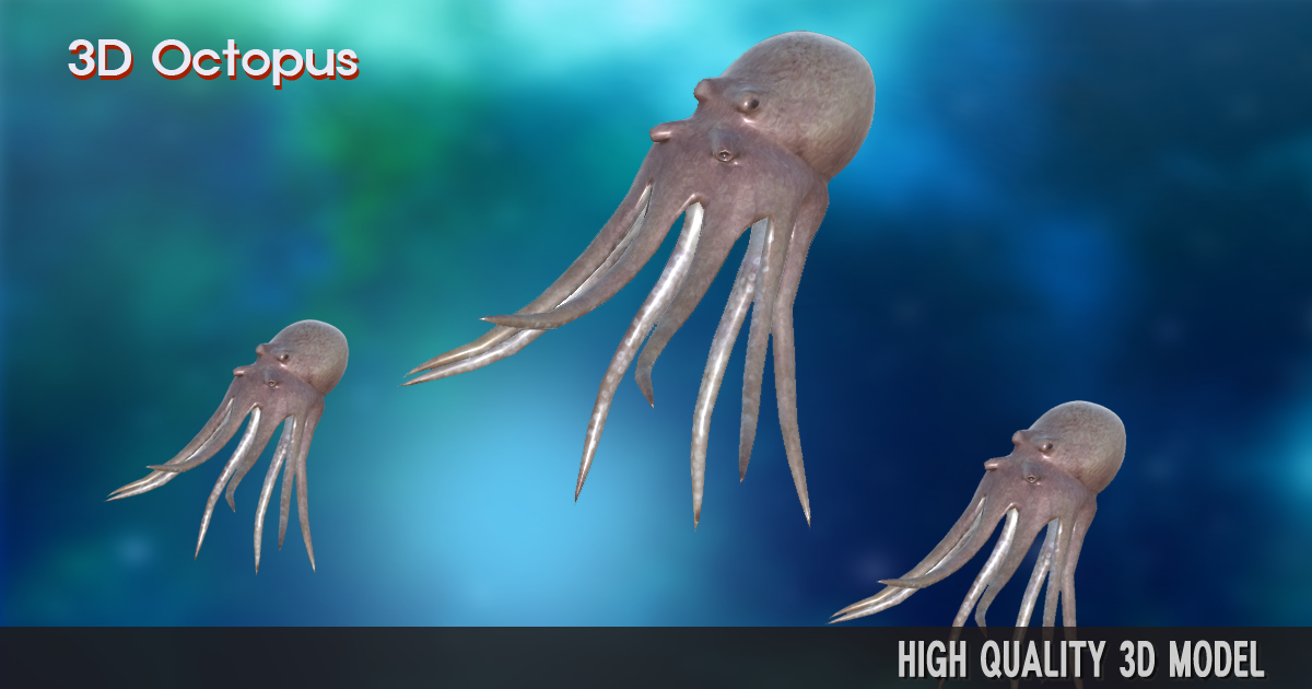 3D Octopus | Characters | Unity Asset Store