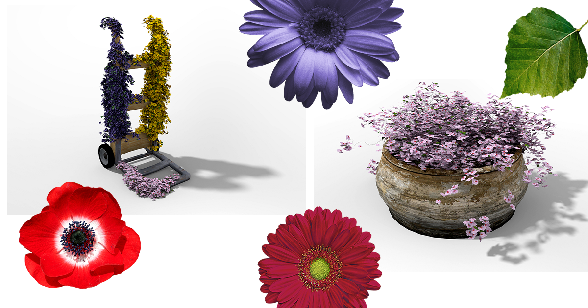 Hanging Plants - Volume Four | 3D Flowers | Unity Asset Store