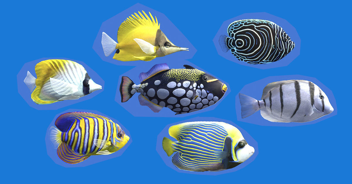 Tropical Fish 7 | Characters | Unity Asset Store