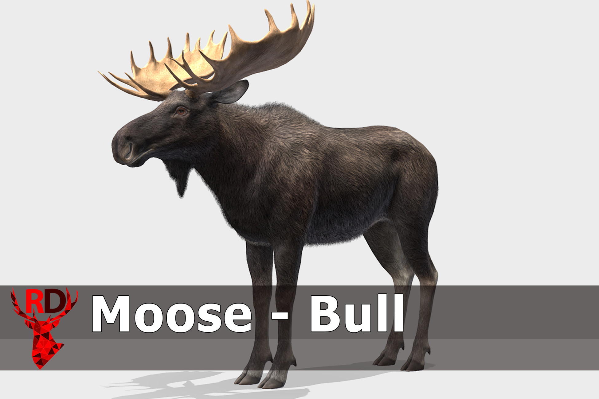 Moose - Bull | Characters | Unity Asset Store