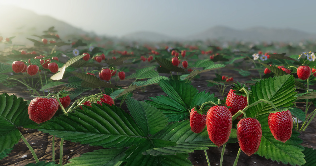 Strawberry Fields Forever | 3D 植被 | Unity Asset Store