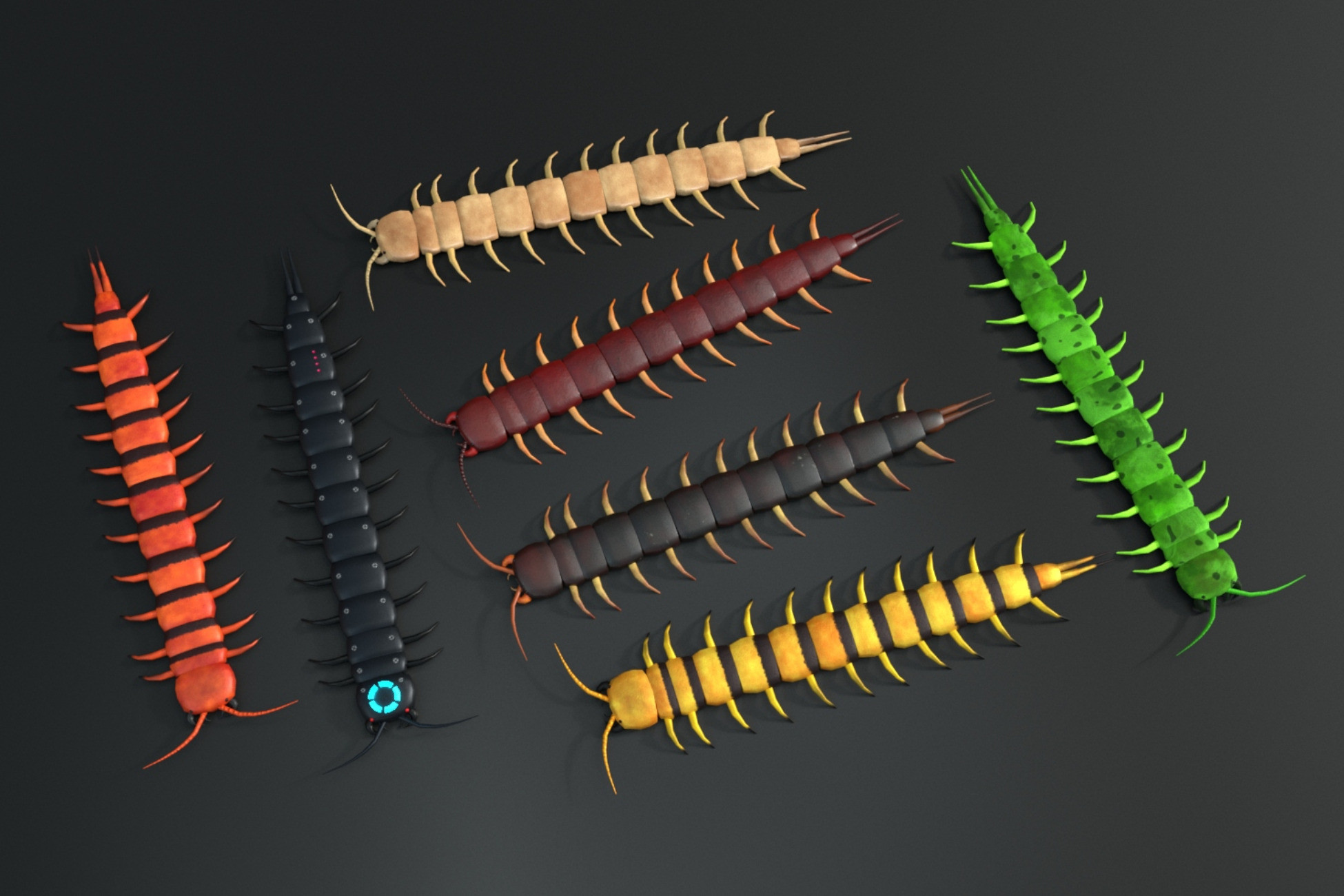 Centipede Worm's Extended pack | 3D Creatures | Unity Asset Store