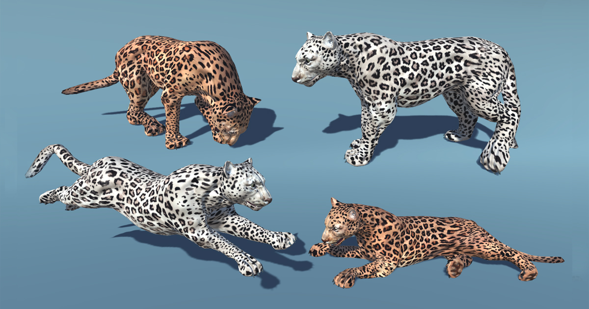 African Animal - Leopard (Full) | Characters | Unity Asset Store