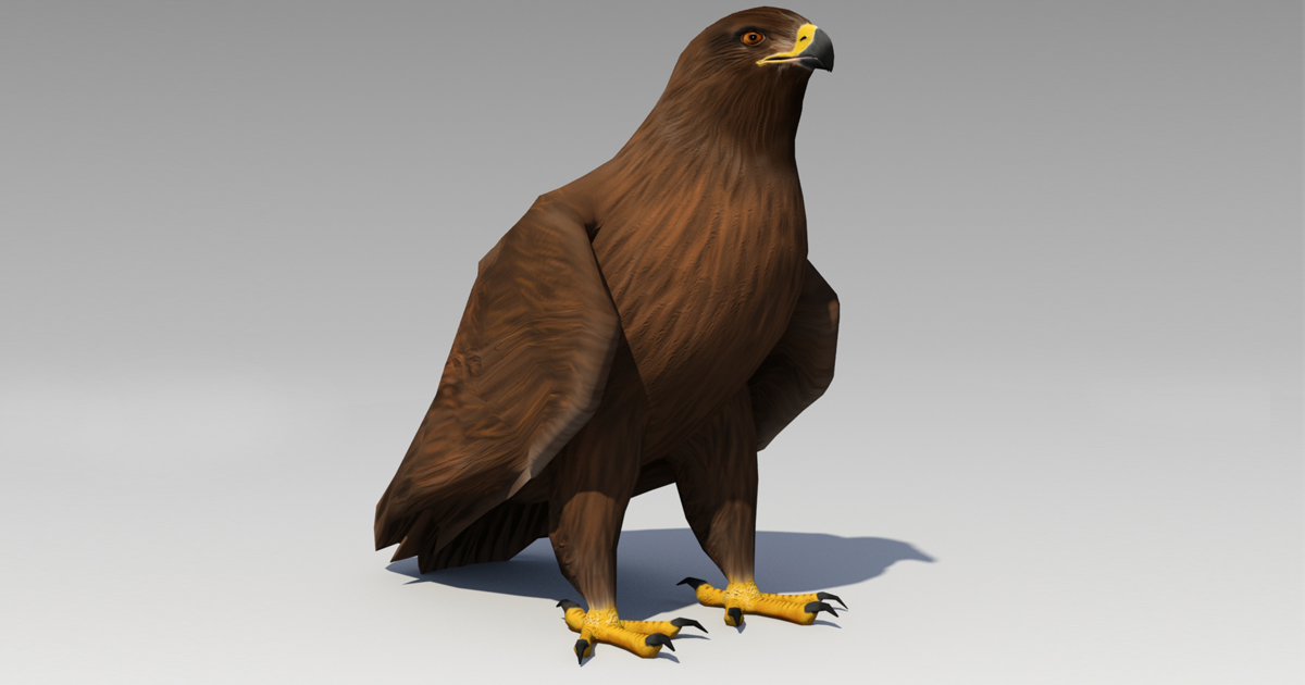 Golden Eagle Animated | Characters | Unity Asset Store