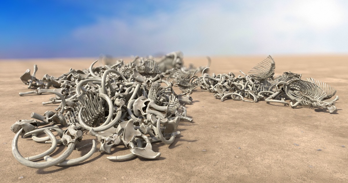 Bone Piles Collection | 3D Props | Unity Asset Store