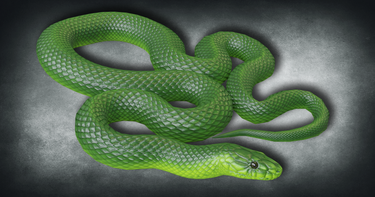 Animated Green Mamba PBR | Characters | Unity Asset Store