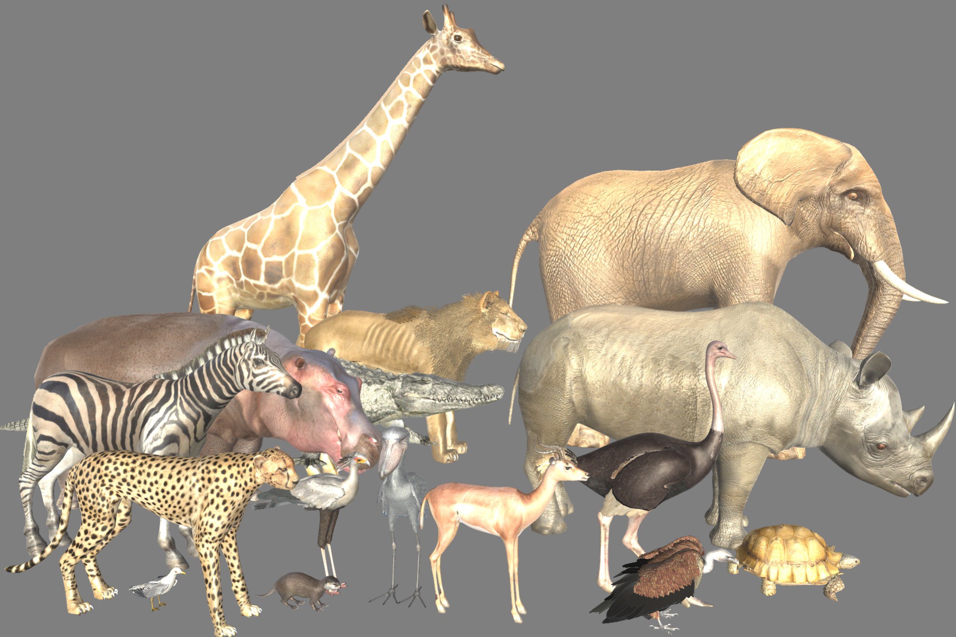 African Animals | 3D 動物 | Unity Asset Store