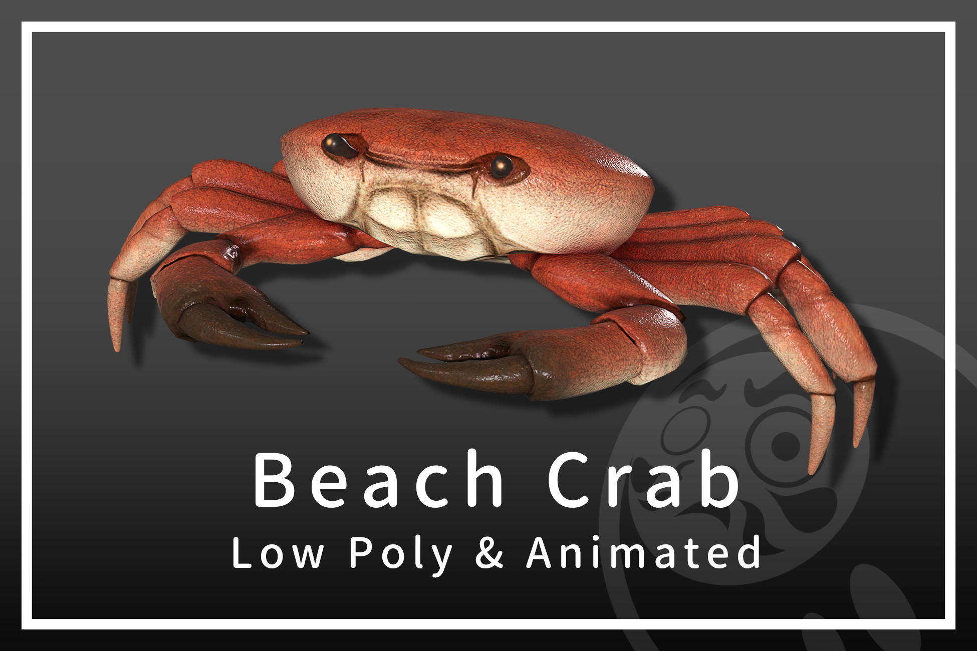Beach Crab | 3D Animals | Unity Asset Store