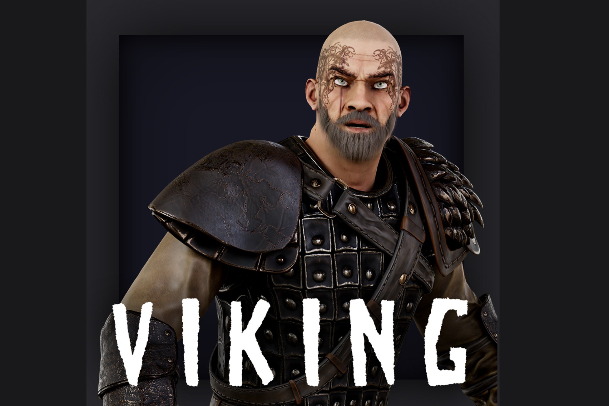 viking 2 | 3D Humanoids | Unity Asset Store