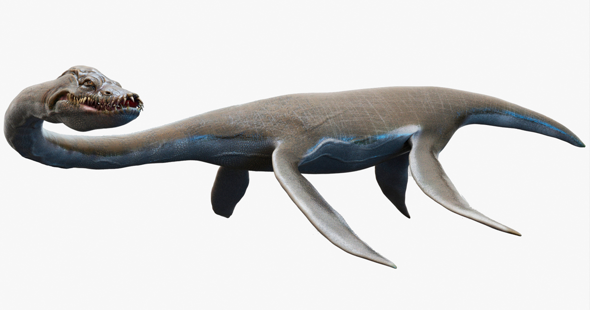 Dinosaur Styxosaurus Model 27 Animations | 3D Creatures | Unity Asset Store