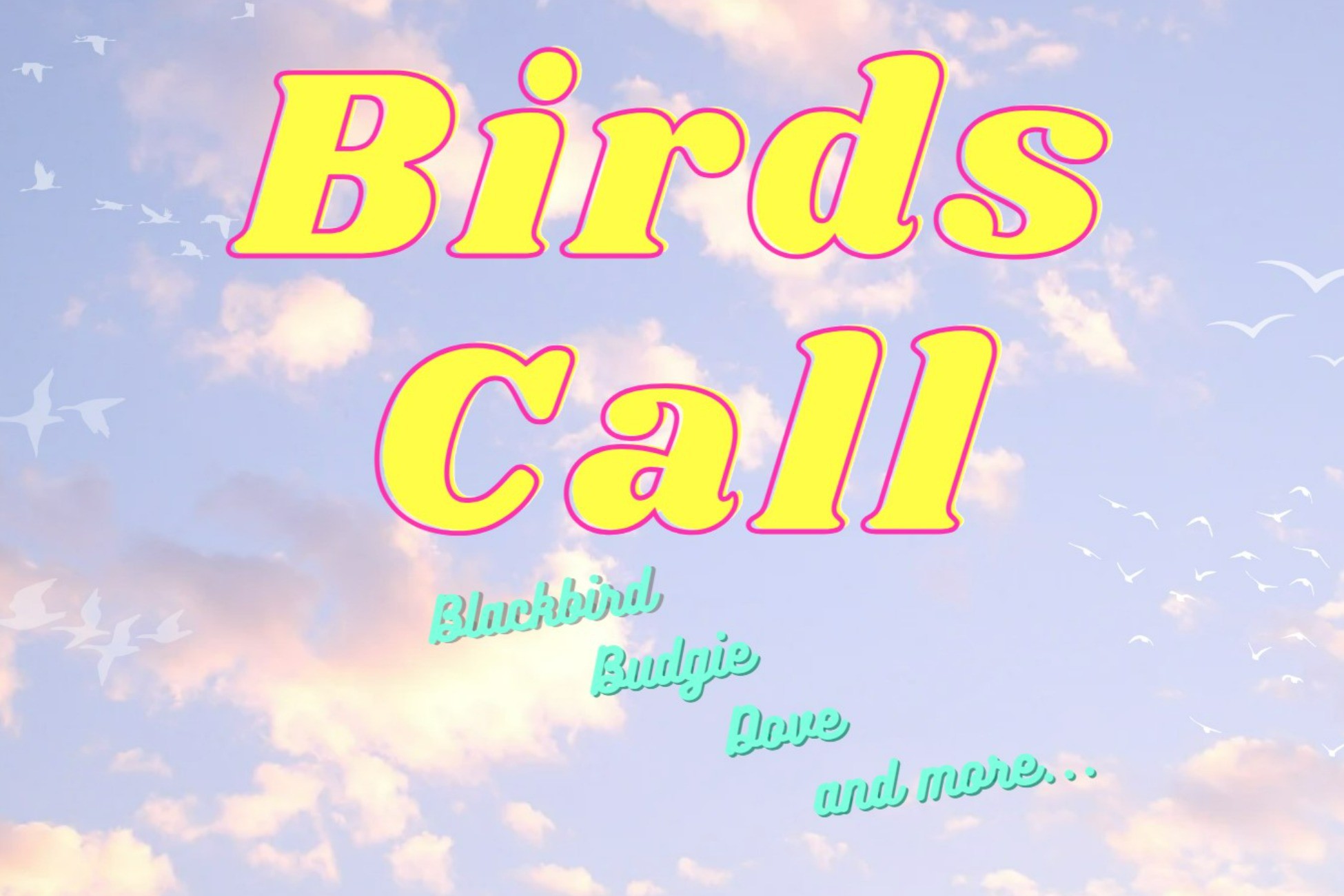 Birds Call | Nature Ambient | Unity Asset Store