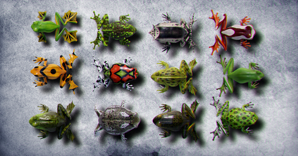 Animated Frogs Ultimate Volume 1 | 3D 동물 | Unity Asset Store