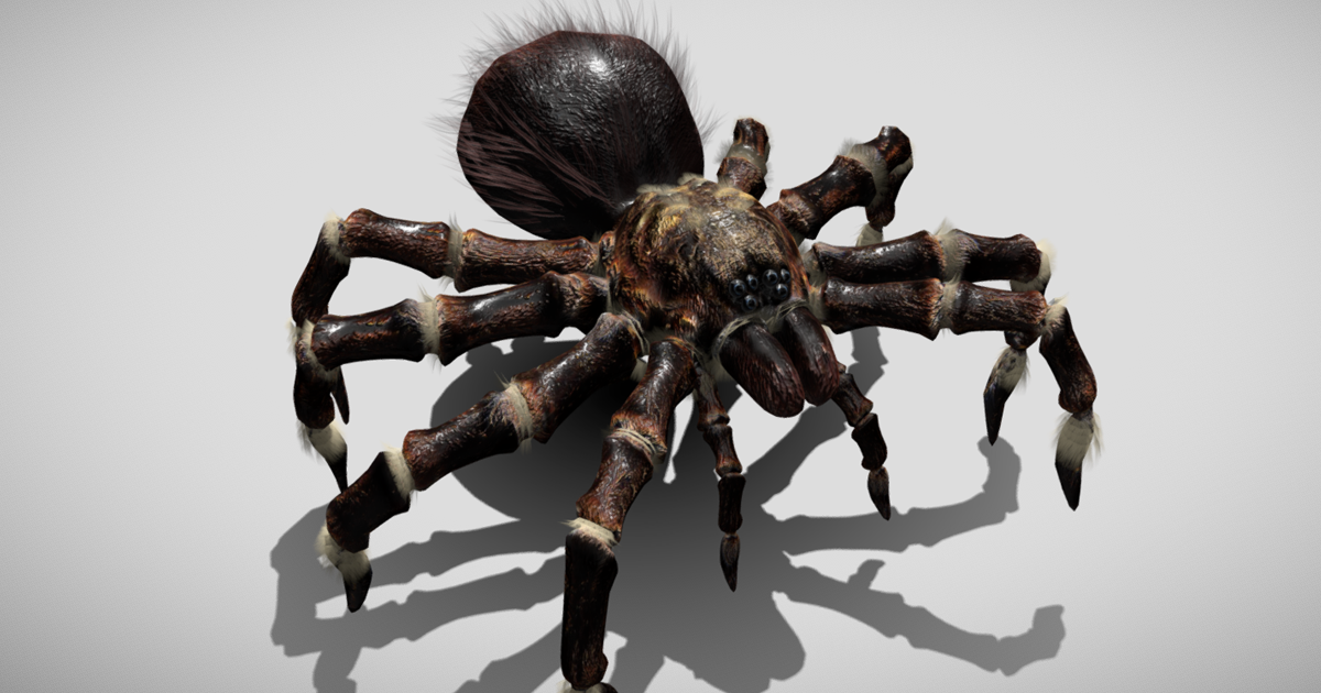 Furry Spider | Characters | Unity Asset Store