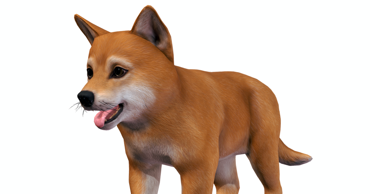 Puppy - Shiba Inu | 3D Animals | Unity Asset Store