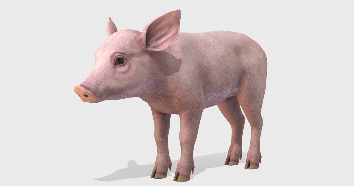 Pig - Piglet | Characters | Unity Asset Store