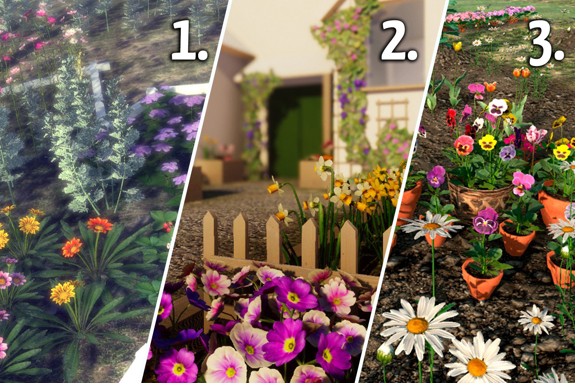 Garden Flowers and Herbs Pack | 3D Flowers | Unity Asset Store