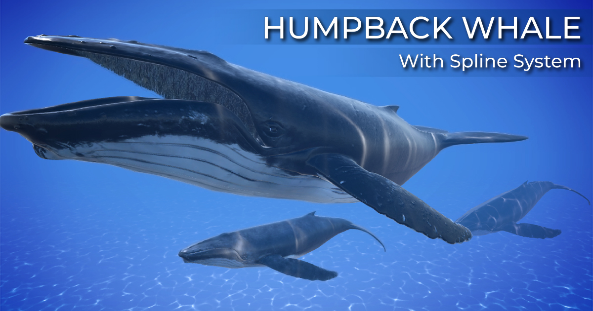 Humpback Whale with Spline System | 3D Animals | Unity Asset Store