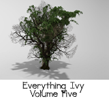 Everything Ivy - Volume Five