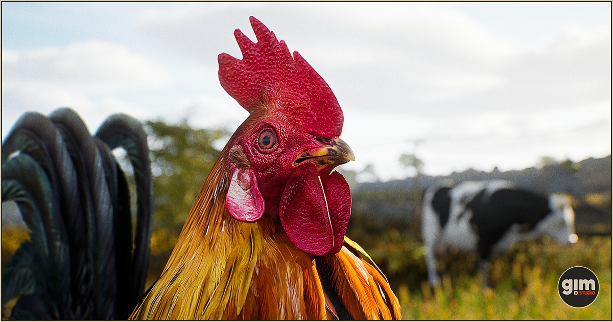 Animalia - Chicken (male) | Characters | Unity Asset Store