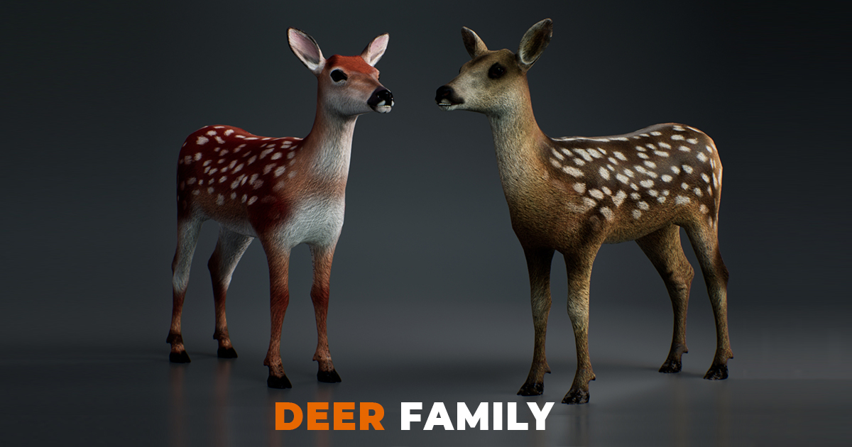 Deer Family Pack | 3D Animals | Unity Asset Store