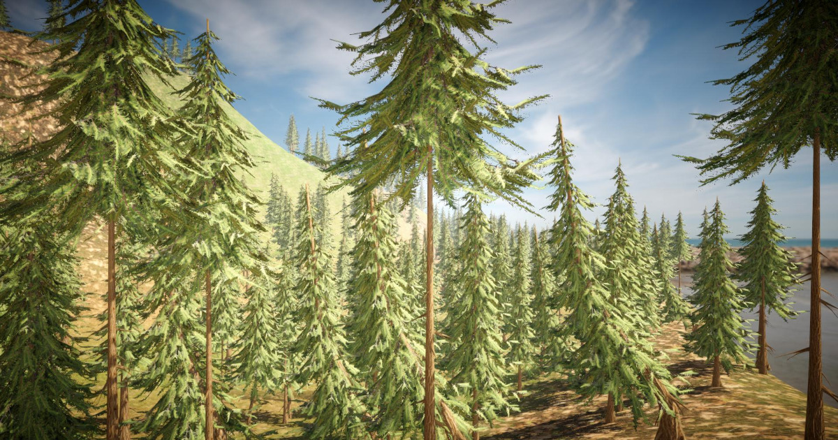 URP Pine Tree 6 (Mobile) | 3D Trees | Unity Asset Store