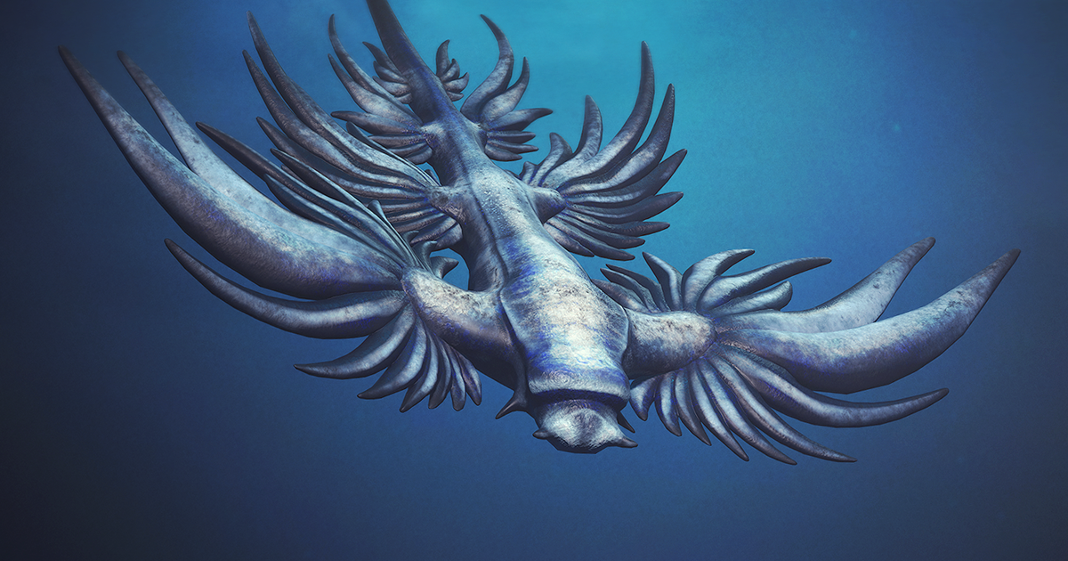 Sea Blue Dragon | Characters | Unity Asset Store