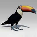 Toucan Animated