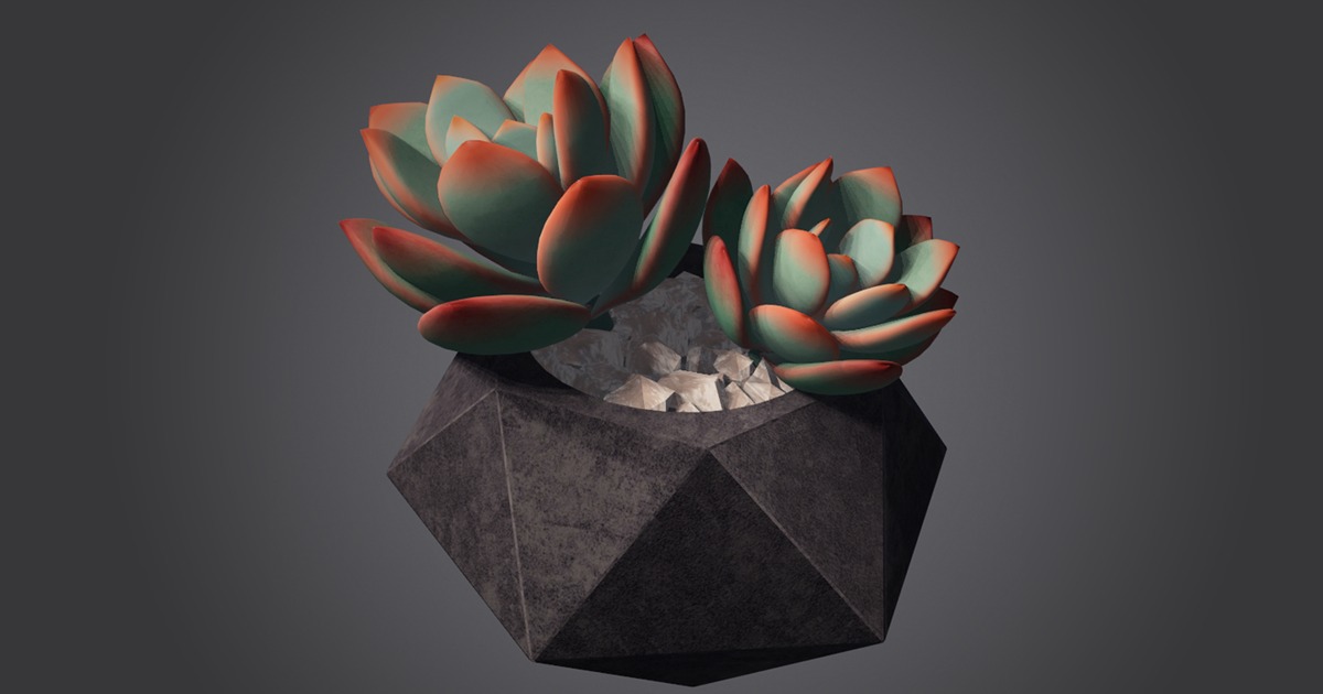 3D Blue echeveria: succulent in a pot | 3D Plants | Unity Asset Store