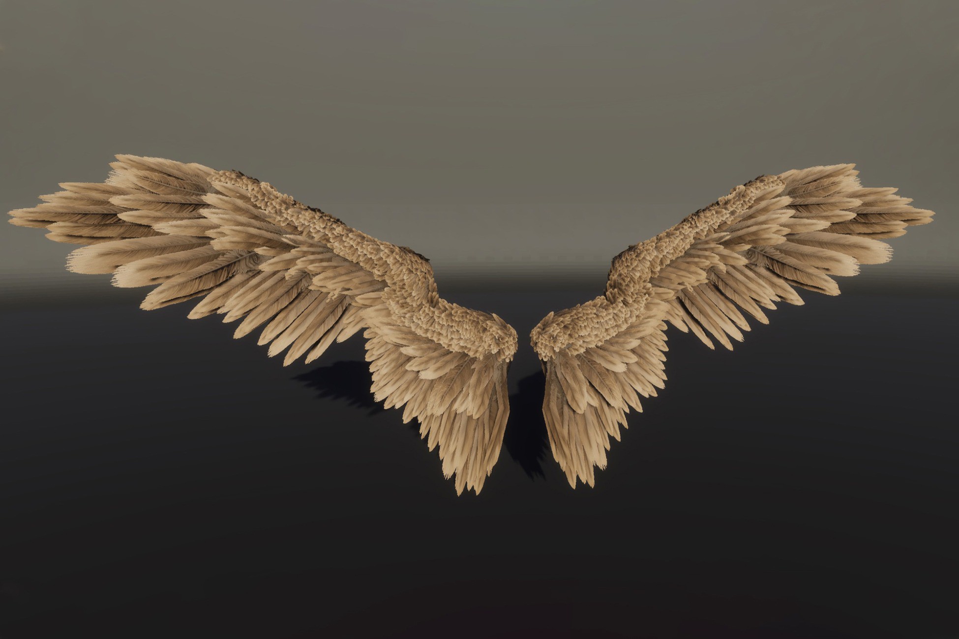 Angel Wings | 3D Props | Unity Asset Store