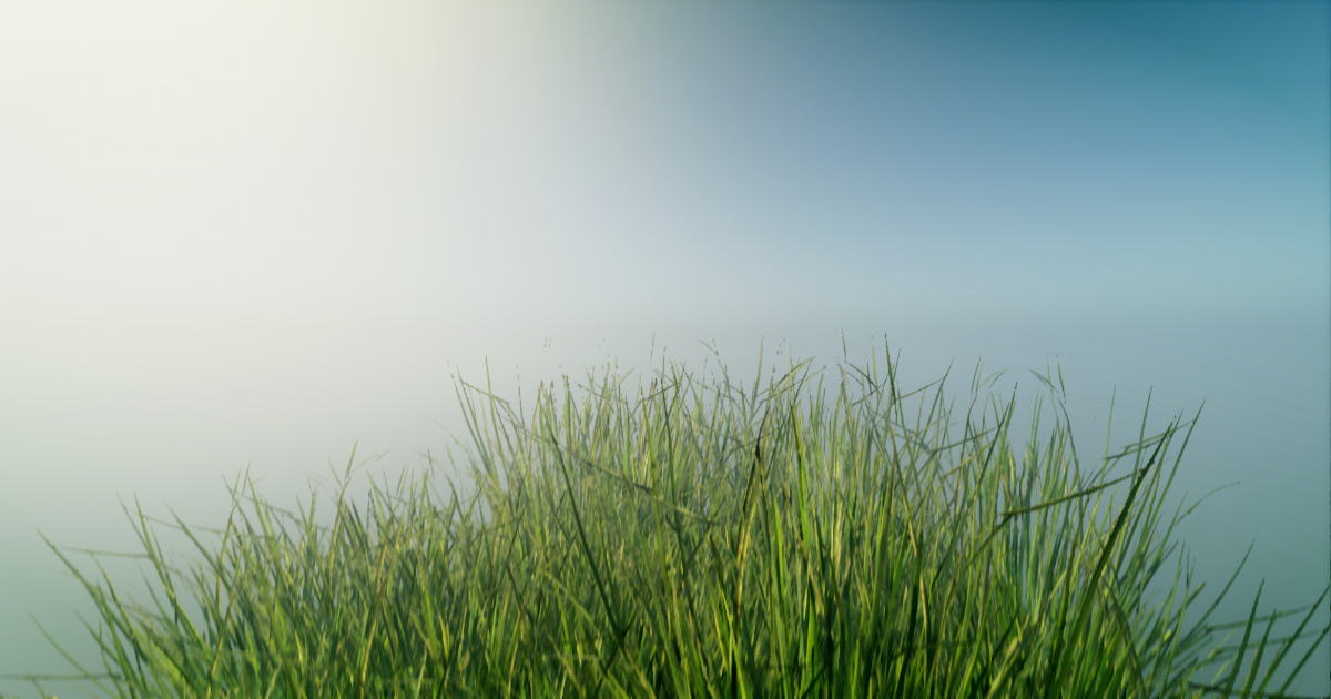 Realistic Grass With Wind Animation HDRP | Unity AssetStore Price down ...