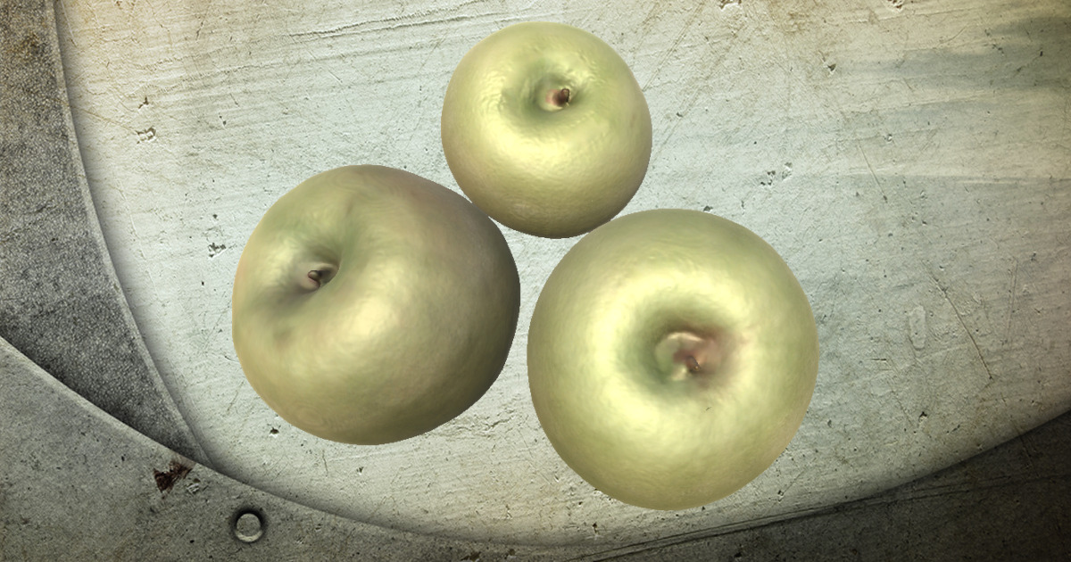 Scanned Apples | 3D Food | Unity Asset Store