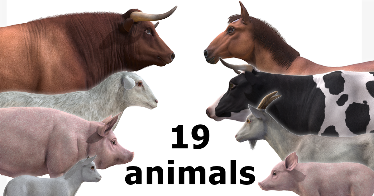 DOMESTIC ANIMAL PACK | Characters | Unity Asset Store