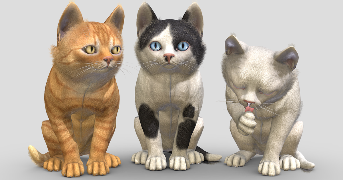 Kitten - Simple | Characters | Unity Asset Store