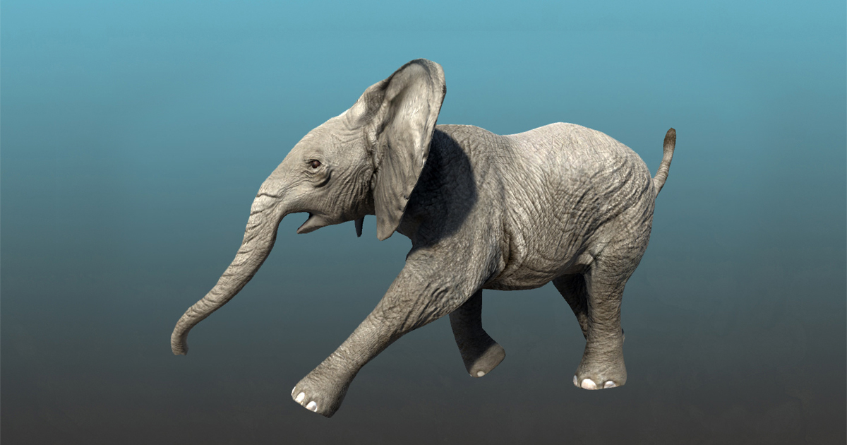 African Animal Baby Elephant (Full Version) | Characters | Unity Asset ...