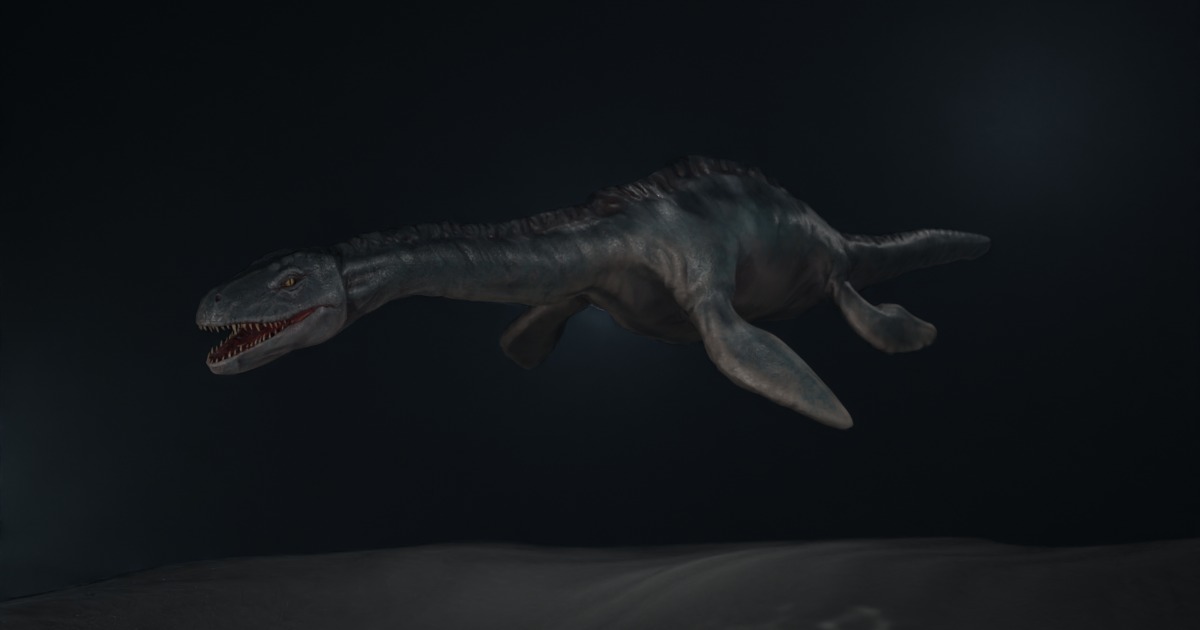 Plesiosaur | 3D Creatures | Unity Asset Store