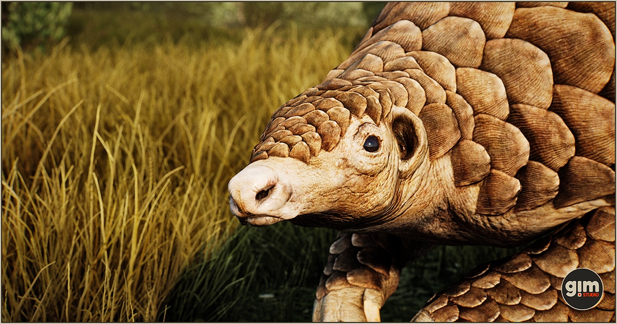 Animalia - Pangolin | 3D Animals | Unity Asset Store