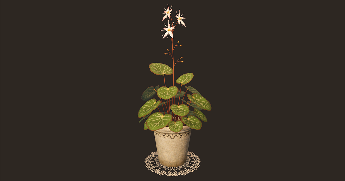 House Plant | 3D Flowers | Unity Asset Store