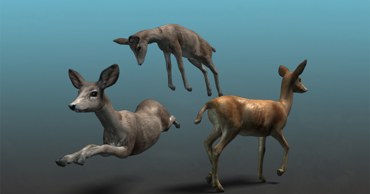 Forest Animal - Deer Doe (Hind) | Characters | Unity Asset Store