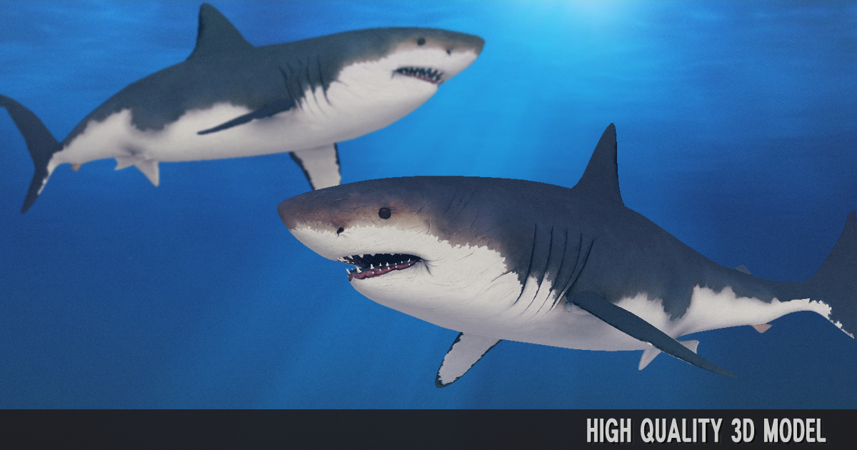 3D Mega Shark | Characters | Unity Asset Store