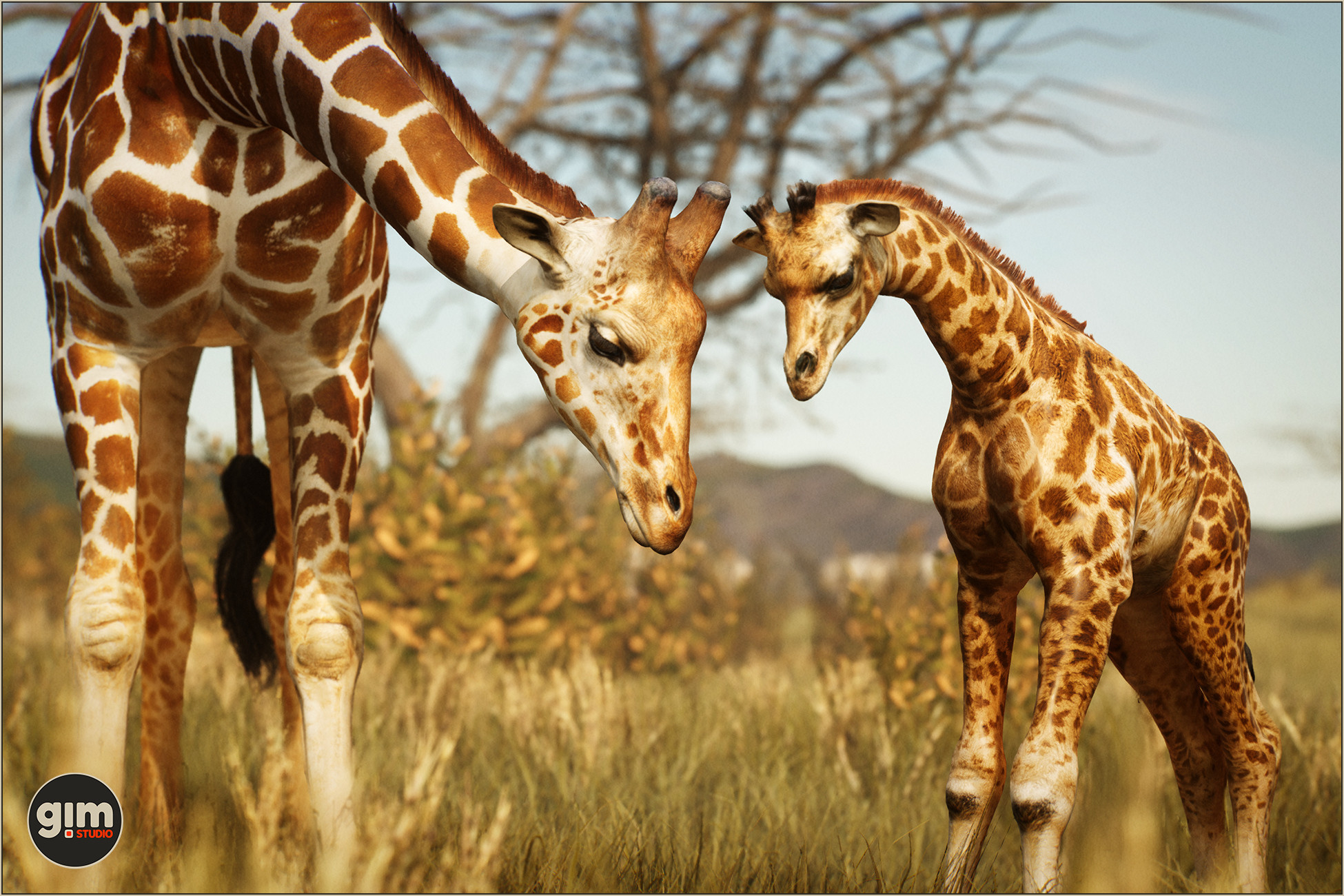 Animalia - Giraffe (pack) | 캐릭터 | Unity Asset Store