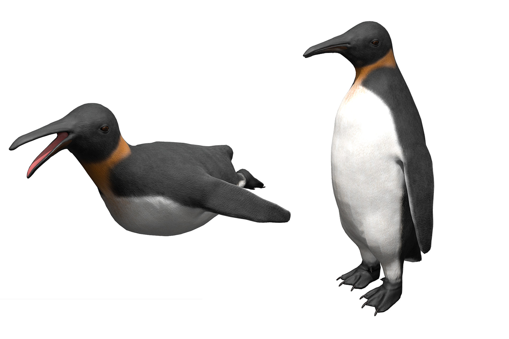 Arctic Penguin | Characters | Unity Asset Store