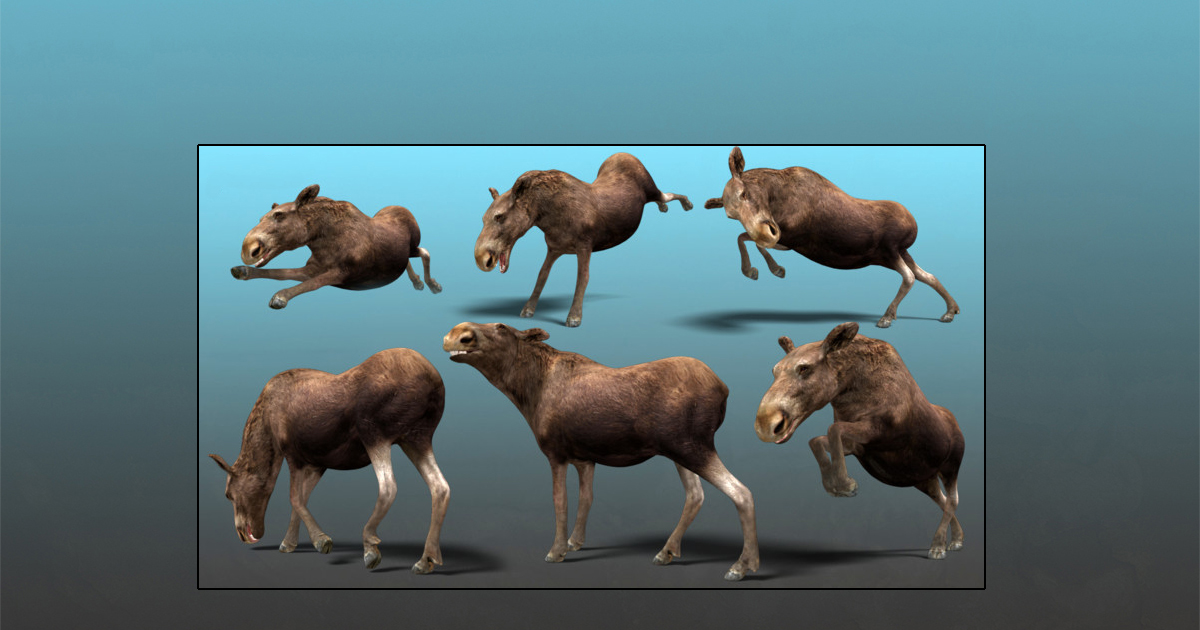 Forest Animal - Moose Cow (Elk) | Characters | Unity Asset Store