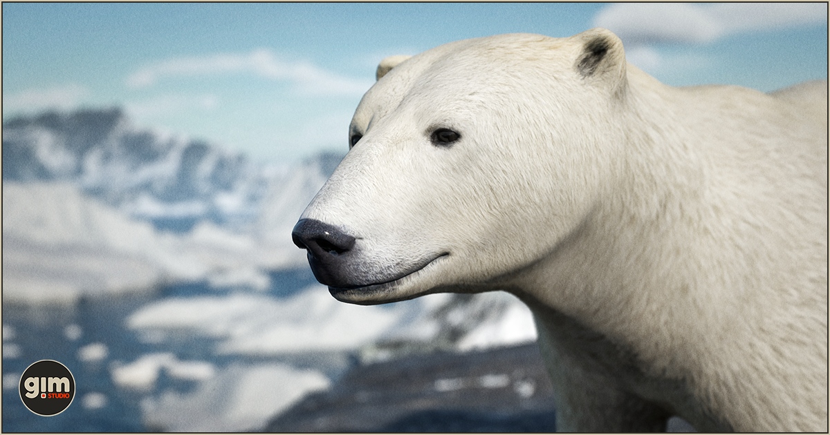 Animalia - Polar Bear (female) | 3D Animals | Unity Asset Store