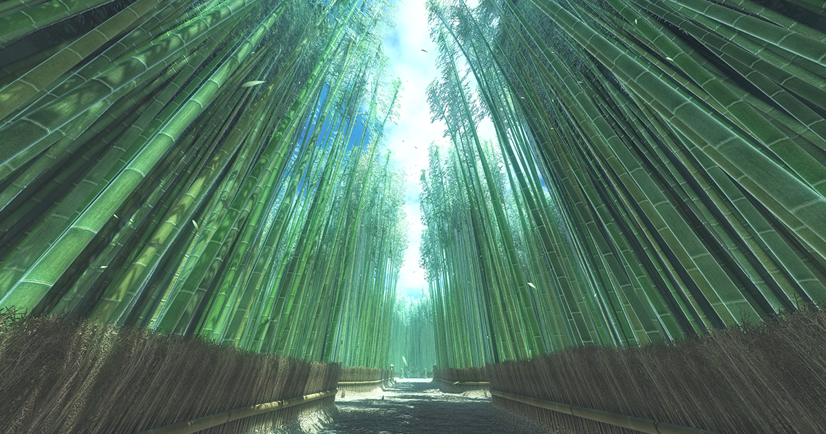 Bamboo Road Map | 3D Dungeons | Unity Asset Store