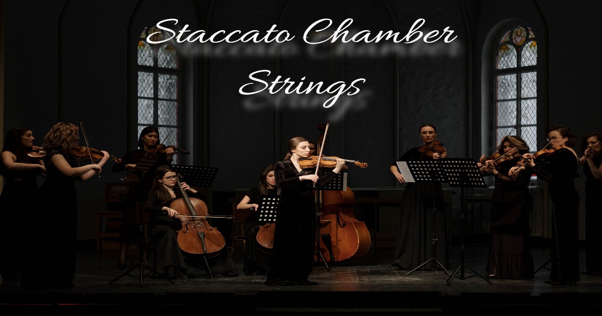 Staccato Chamber Strings | Orchestral Music | Unity Asset Store