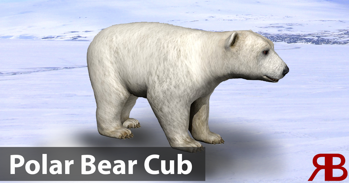 Polar Bear (cub) | Characters | Unity Asset Store