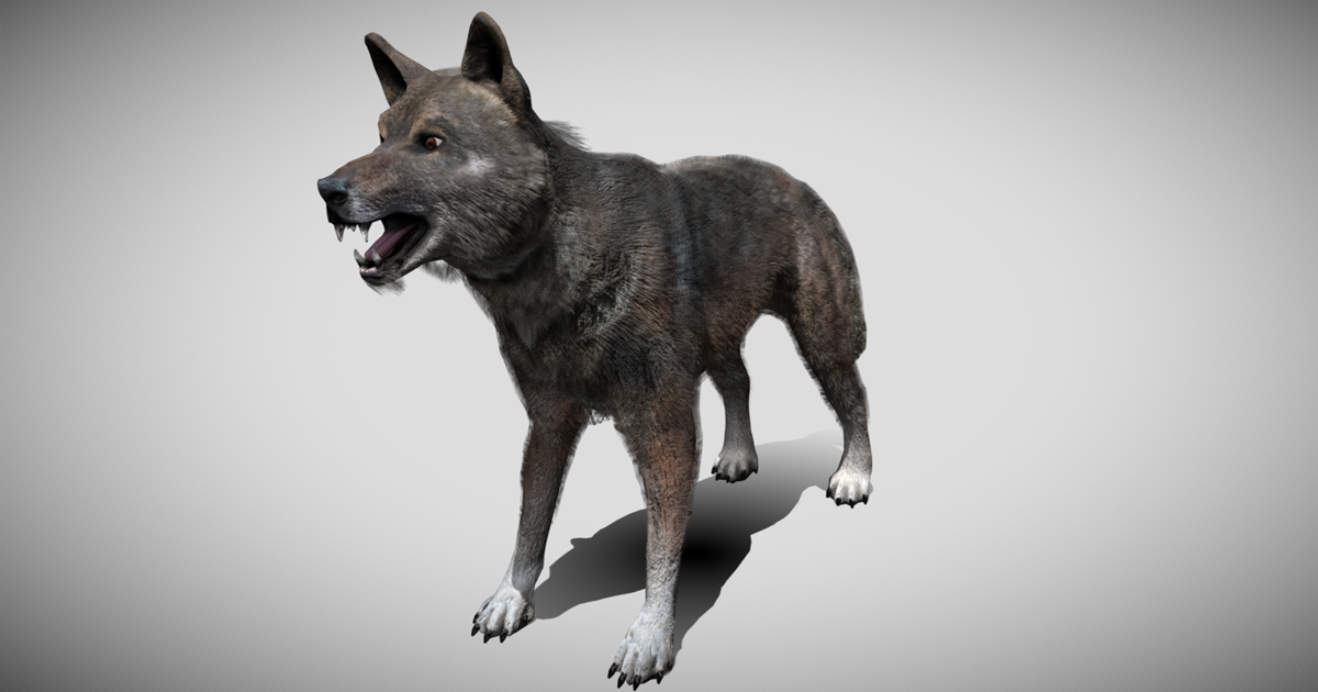Wolf with animations | 角色 | Unity Asset Store