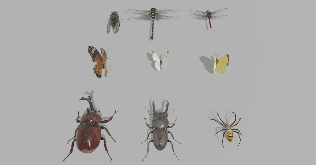 Japanese Insect Pack | Characters | Unity Asset Store
