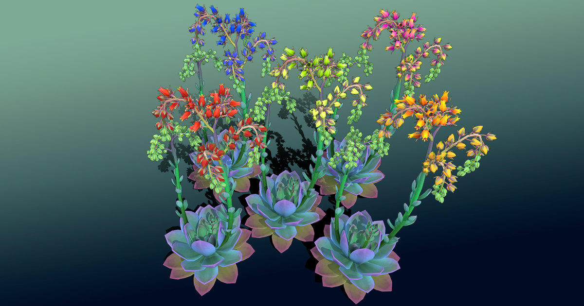Flower Echeveria | 3D Flowers | Unity Asset Store